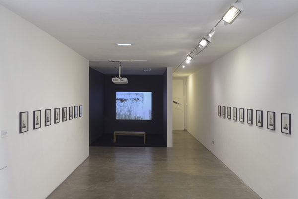 Cindy Sherman: Early Works, 1975—80 - Stills