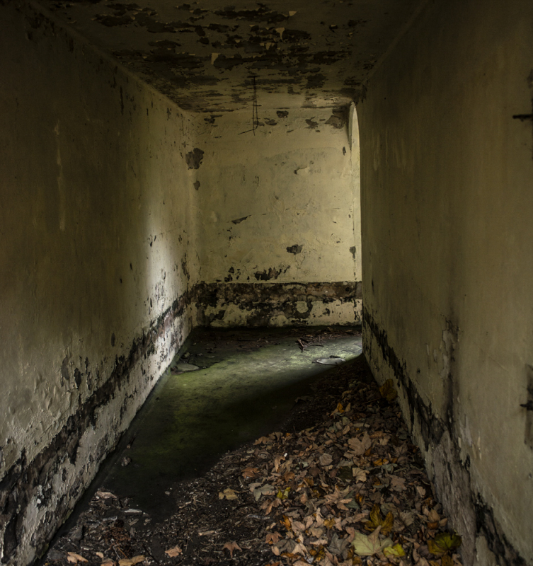 Projects 20 | Alex Boyd - Stills