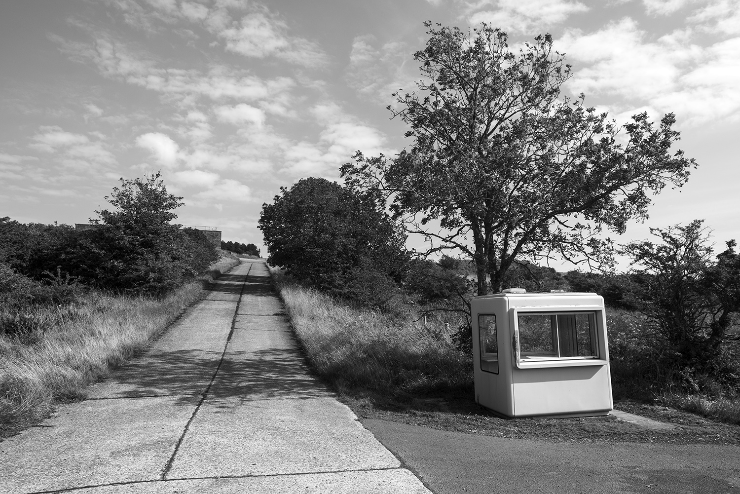 Projects 20 | Alex Boyd - Stills