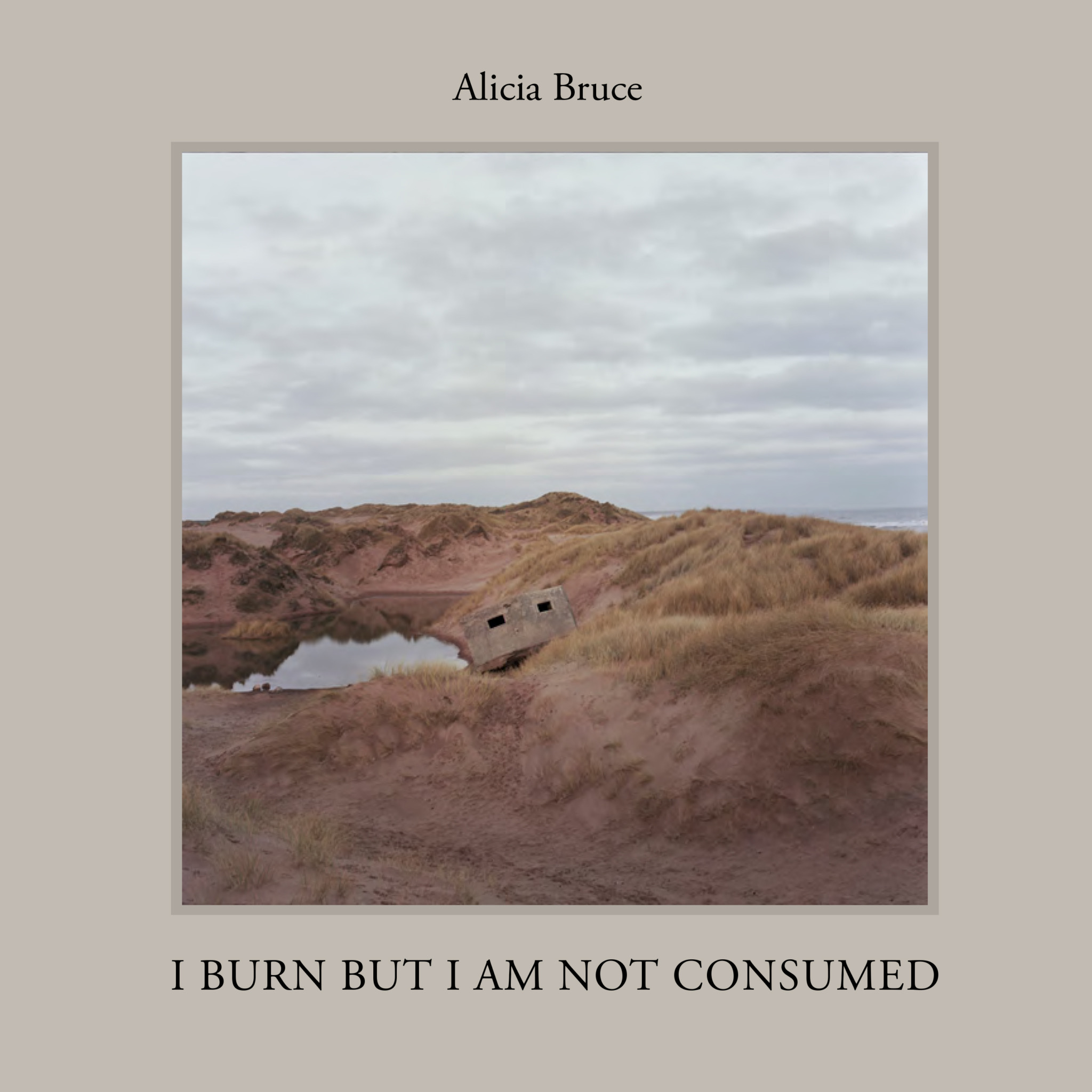 Book Launch: 'I Burn But I Am Not Consumed' by Alicia Bruce - Stills