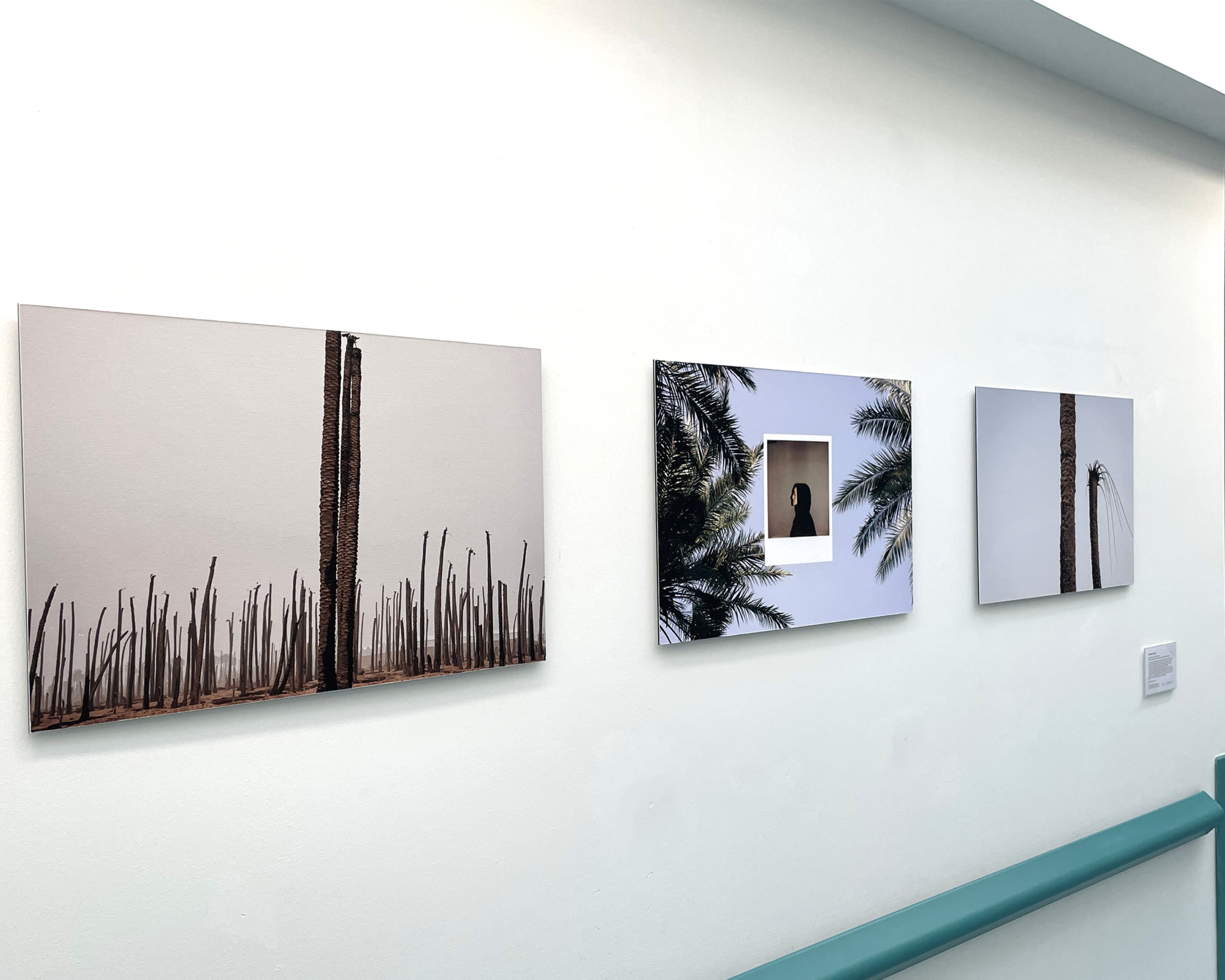 Stills – centre for photography based in the heart of Edinburgh.